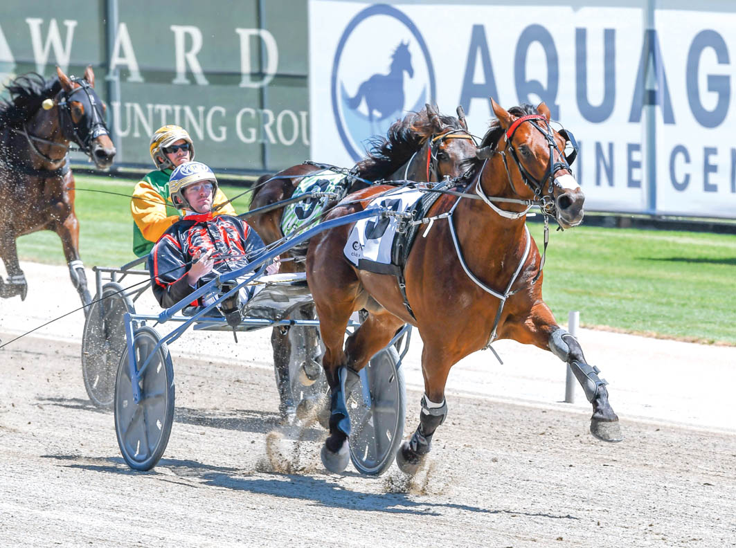 Timothy Red – Cameron Hart (5) | National Trotguide