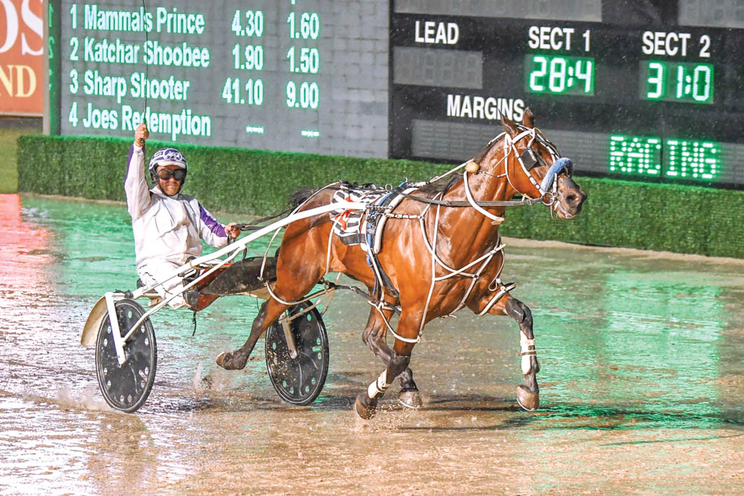 R4 – Katchar Shoobee – Brian Portelli (3) | National Trotguide