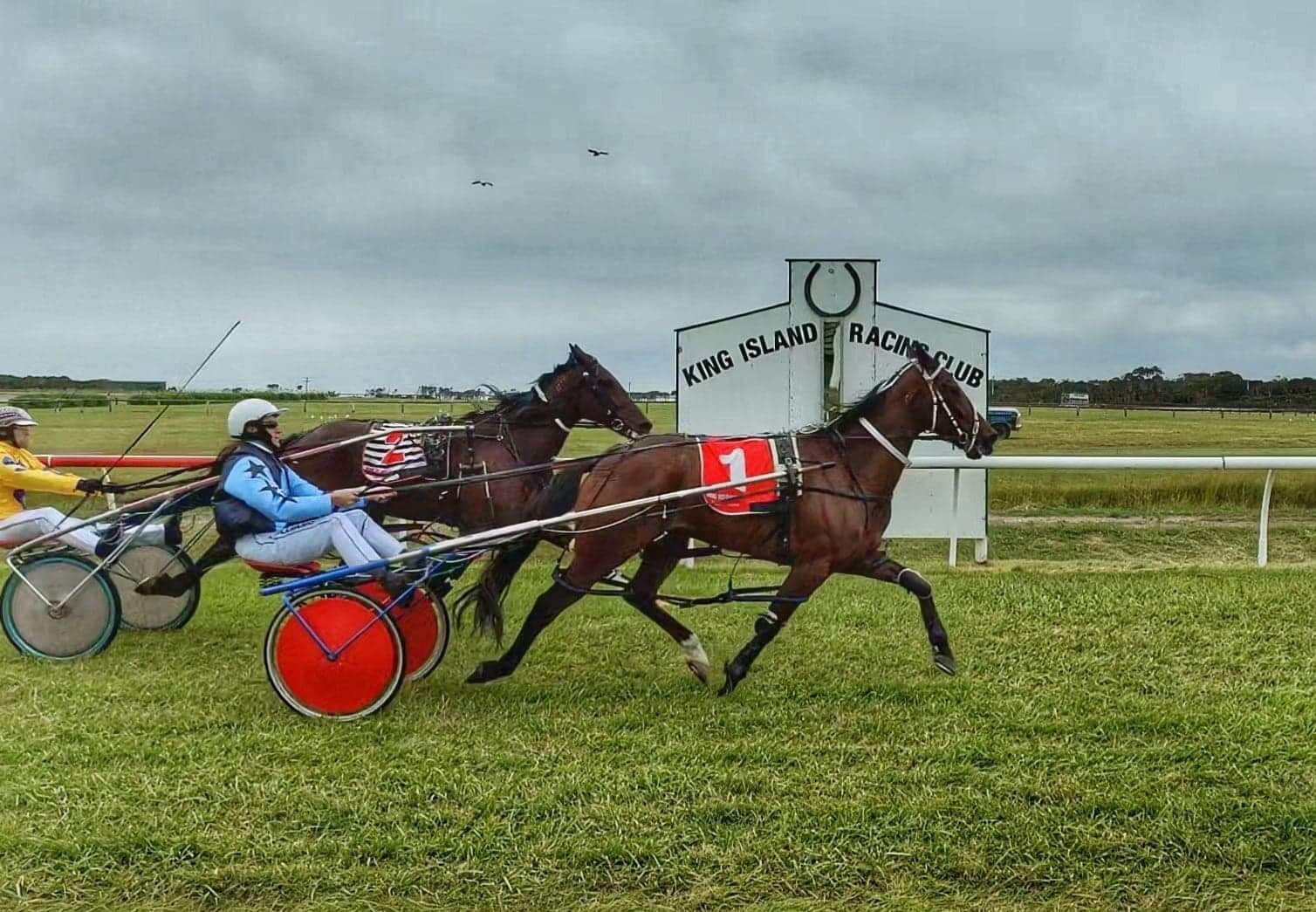 Even ‘the King’ turns it on for the trots | National Trotguide