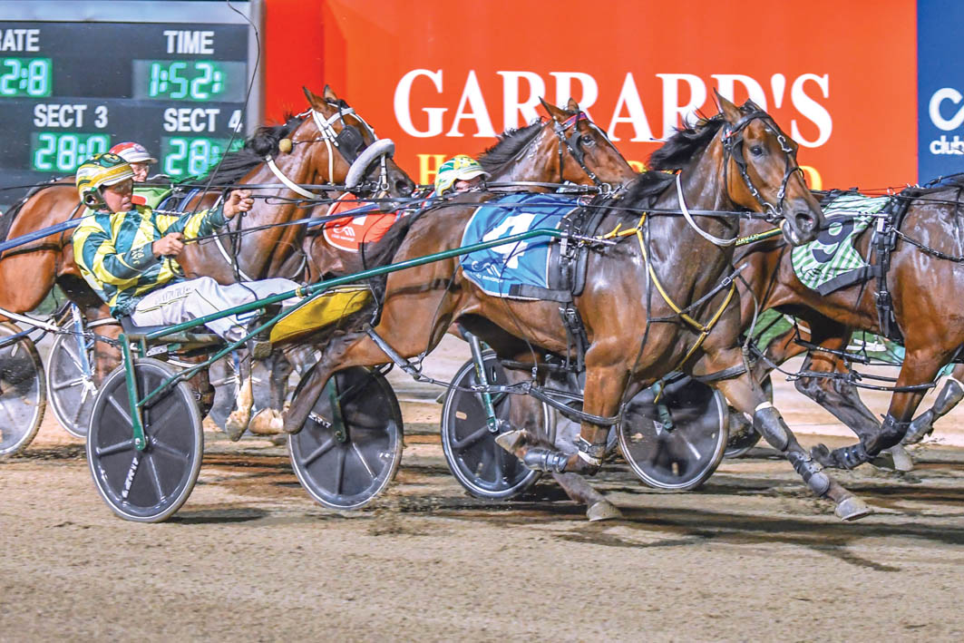 Sioux Rainbow – Gavin Fitzpatrick (3) | National Trotguide