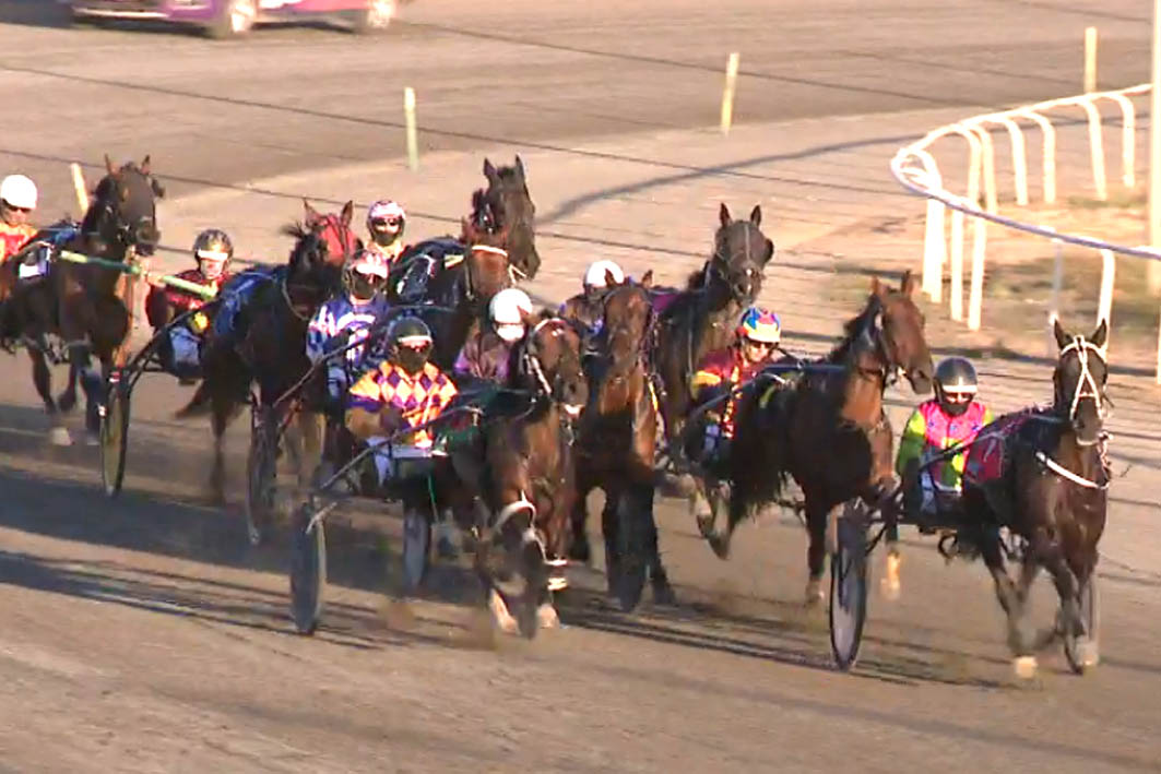 trent wheeler | National Trotguide