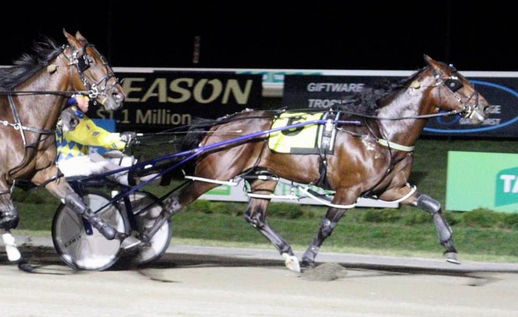 MASTER STRIDE DXCSFV | National Trotguide