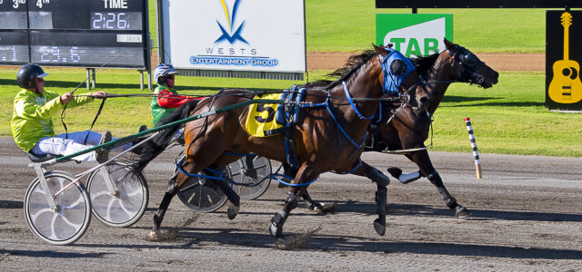 Sam doing it for more than Just Tommy | National Trotguide