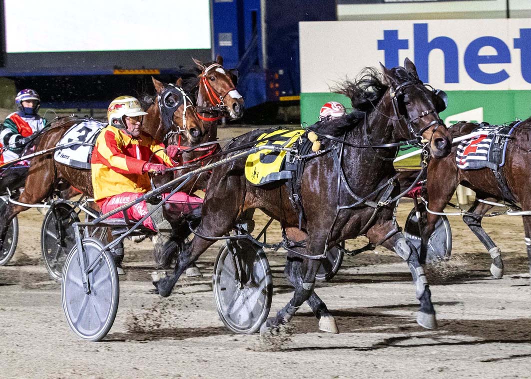 Jo Rocks_20210529 | National Trotguide