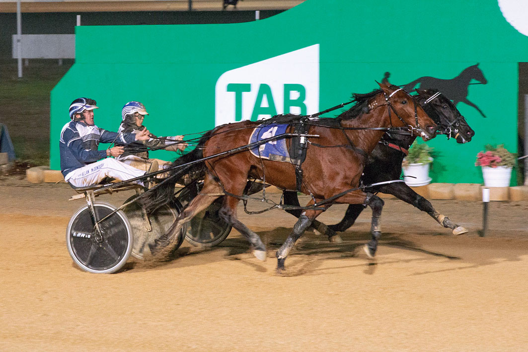 Encipher | National Trotguide