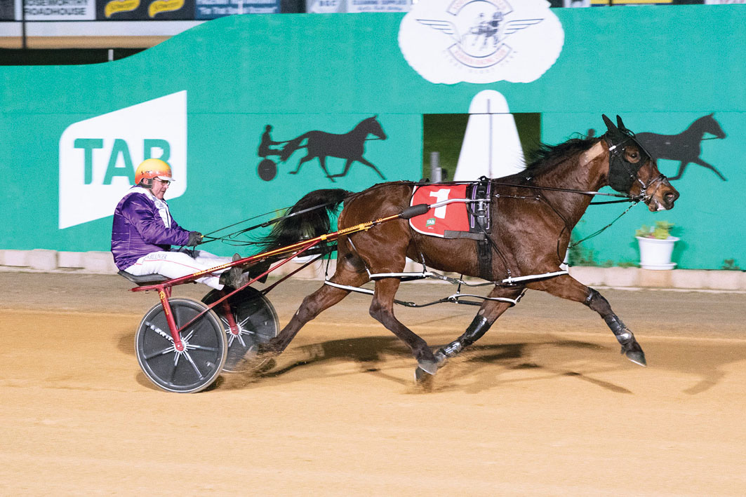 paigeone | National Trotguide