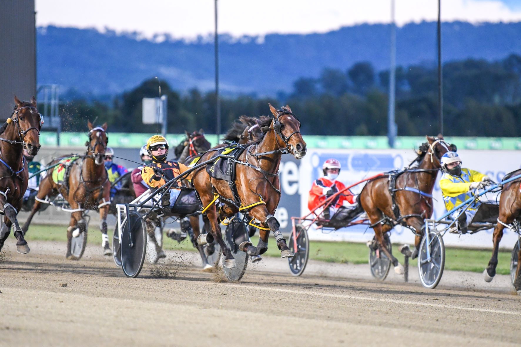 Your race-by-race guide to Tabcorp Park Menangle Saturday night ...
