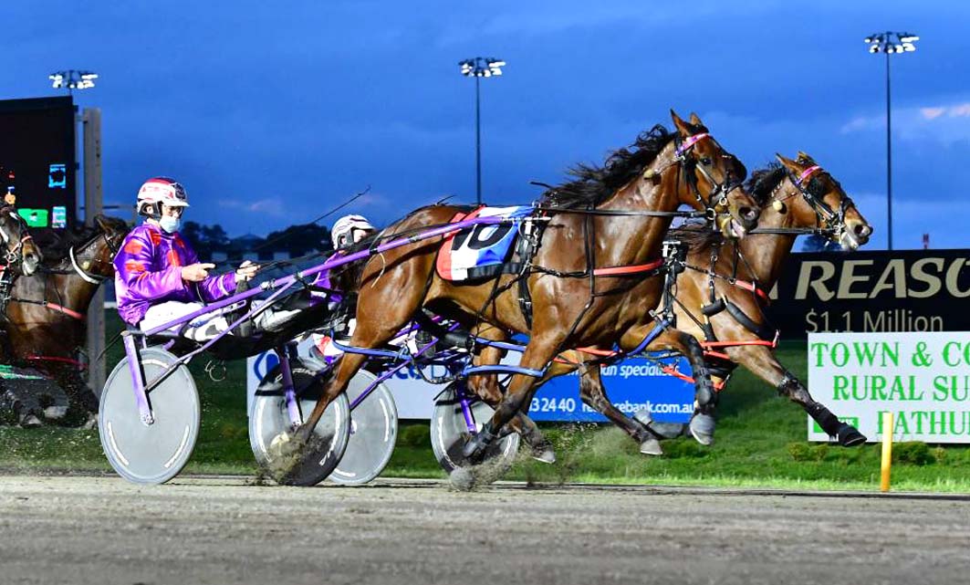 WINONA WRITER | National Trotguide