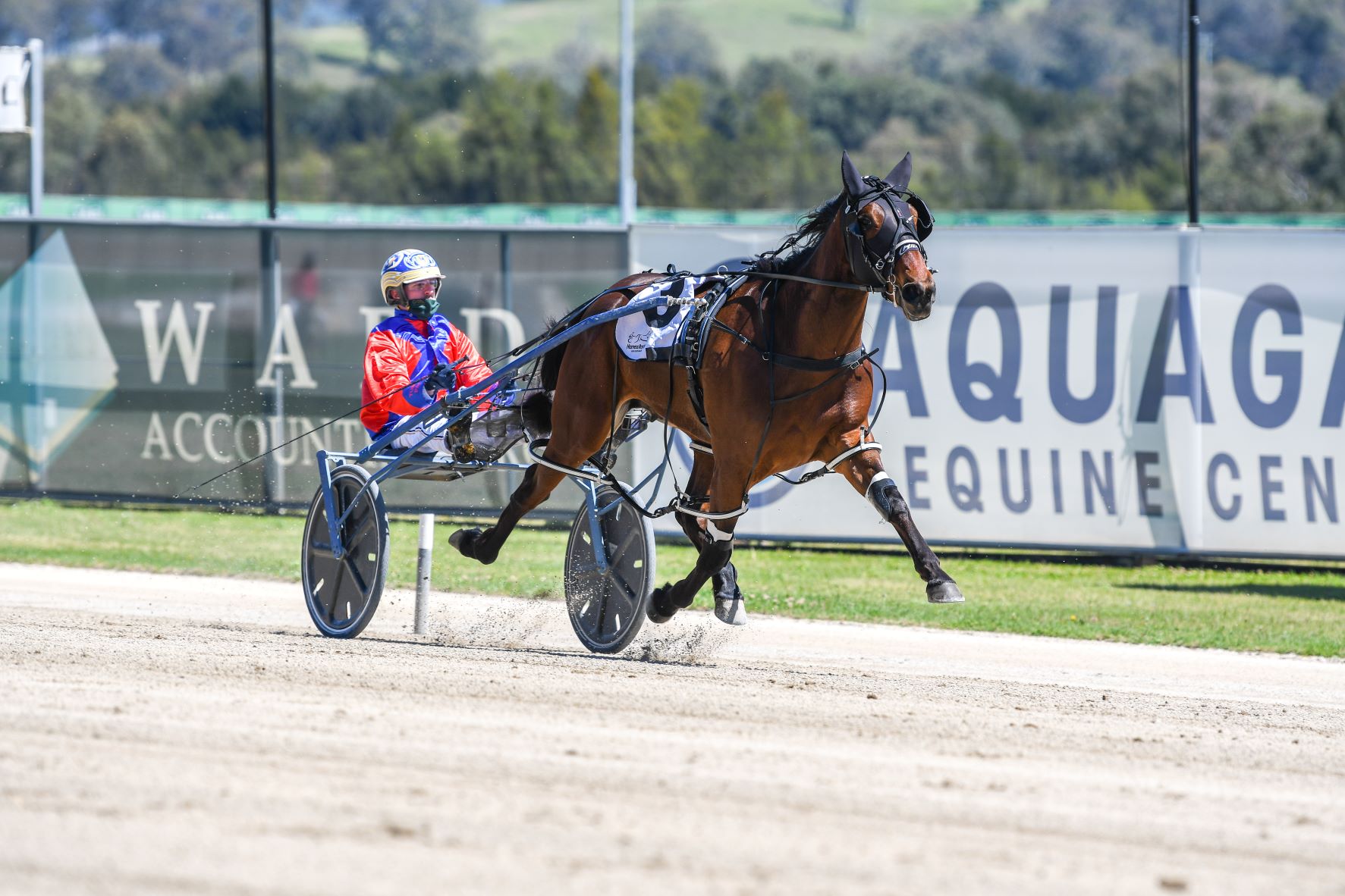 ‘Ultimate’ lesser lights get a chance to make their mark | National ...