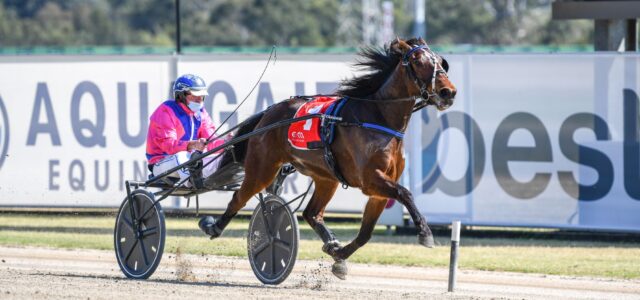 Aussie first for brothers? | National Trotguide