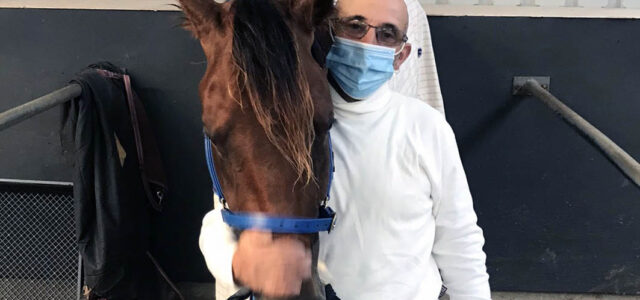 Maiden win after 36 years! | National Trotguide