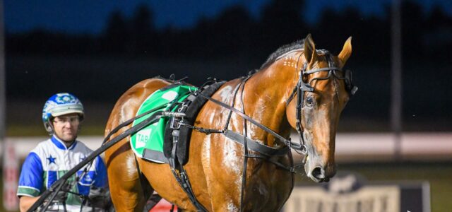 Here’s six of the best for Menangle Saturday night | National Trotguide