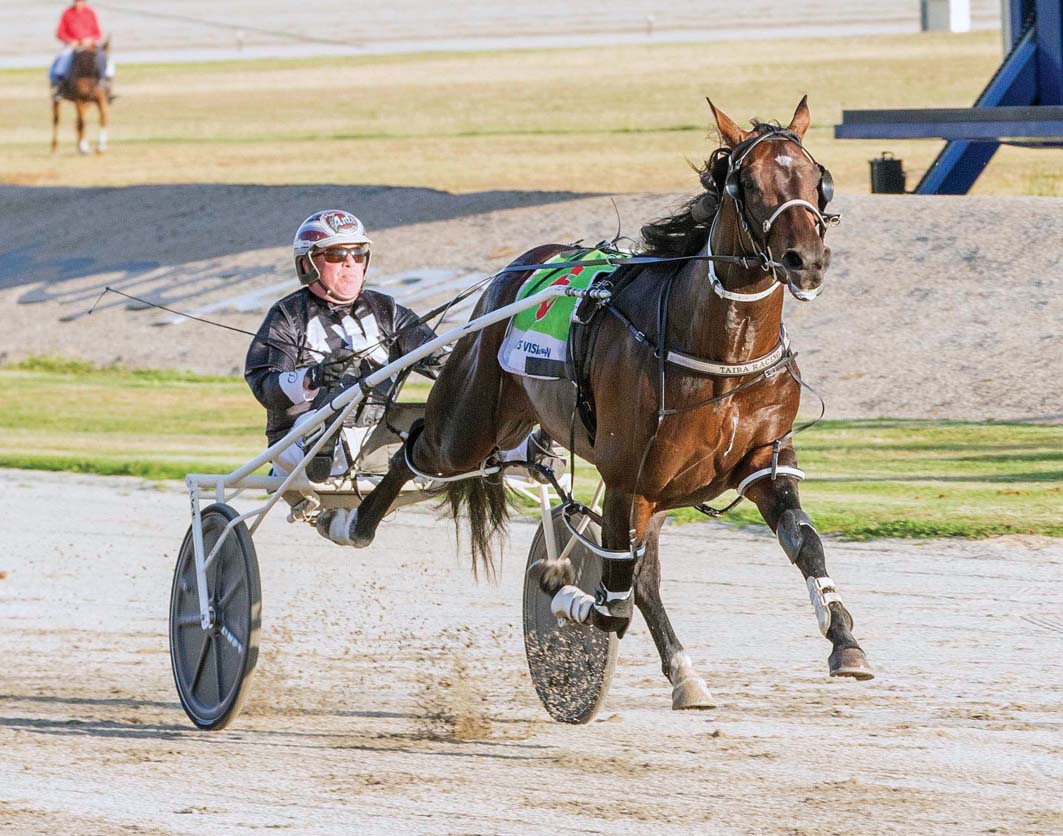 Captain to continue rapid rise to the top | National Trotguide