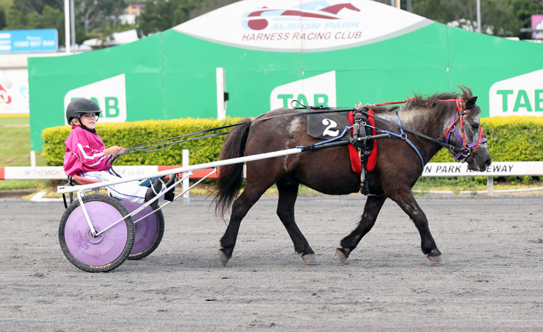 LARA WHITAKER Phantom Fella | National Trotguide