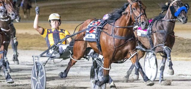 Callaghan can’t wait for the weekend | National Trotguide