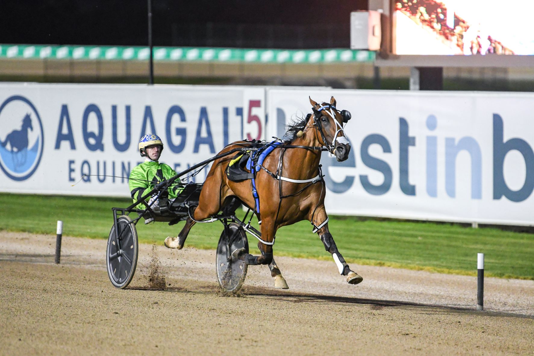 All the winners on Menangle’s bumper 10-race Saturday program ...