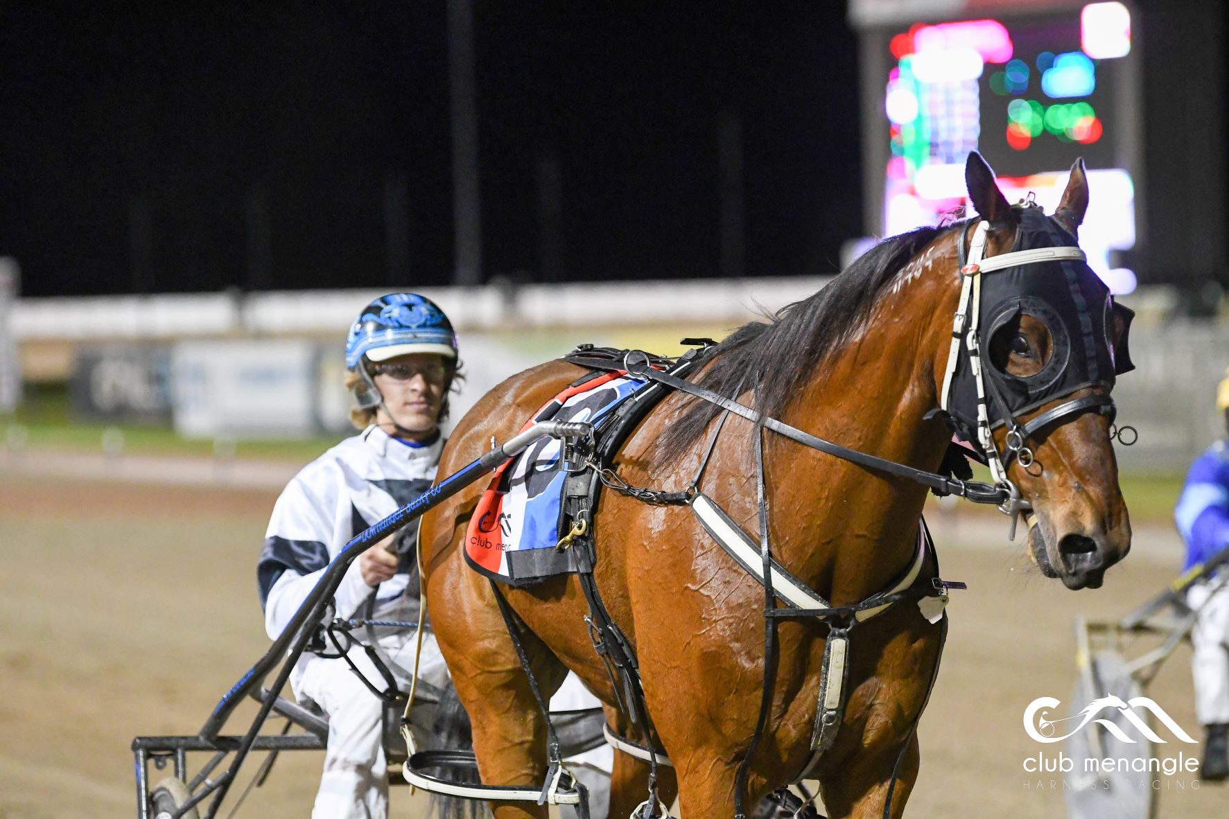 Jack, Will and Andrew making their mark in Club Menangle Medal | National Trotguide