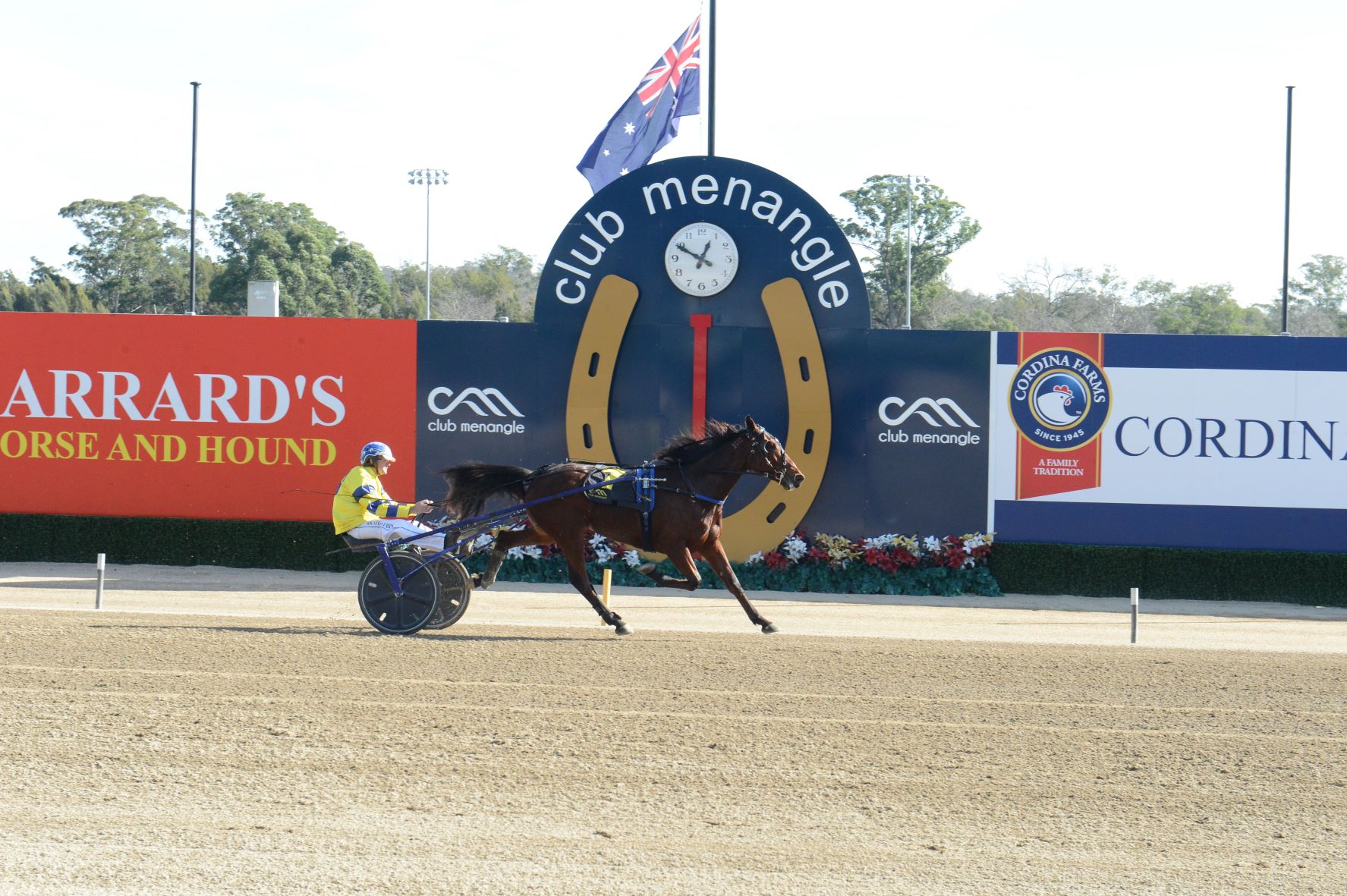 Here’s the stables to follow at Menangle today | National Trotguide