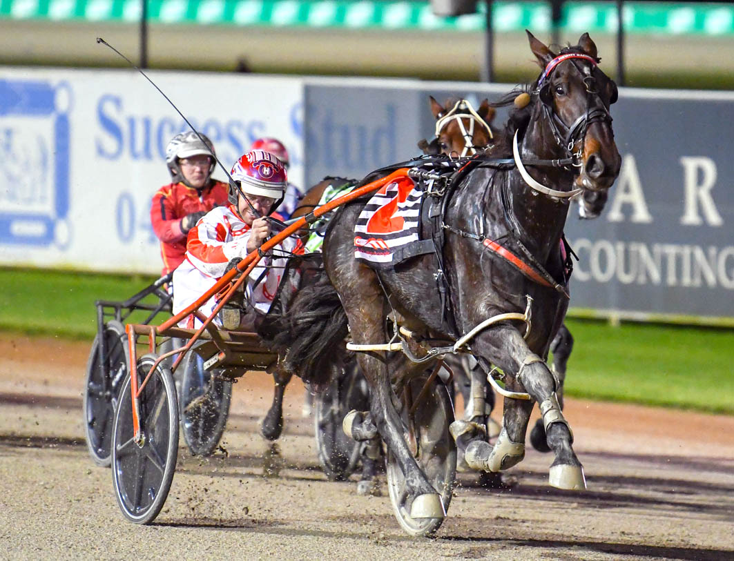 RIPP | National Trotguide