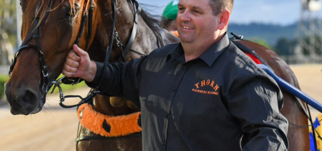 David hopes to be a ‘thorn’ in the side of his rivals | National Trotguide