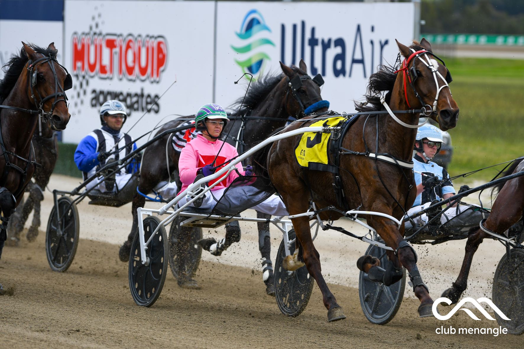 MARTELLE MAGUIRE-4 | National Trotguide