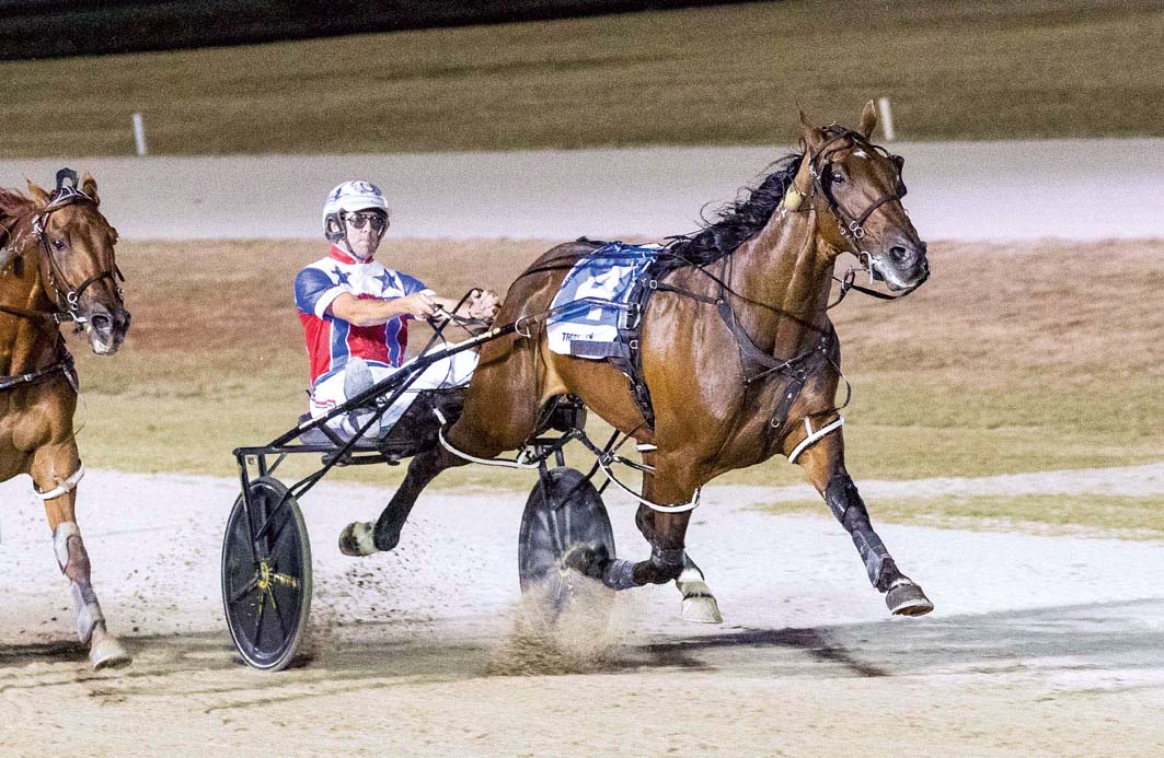 Cranbourne | National Trotguide