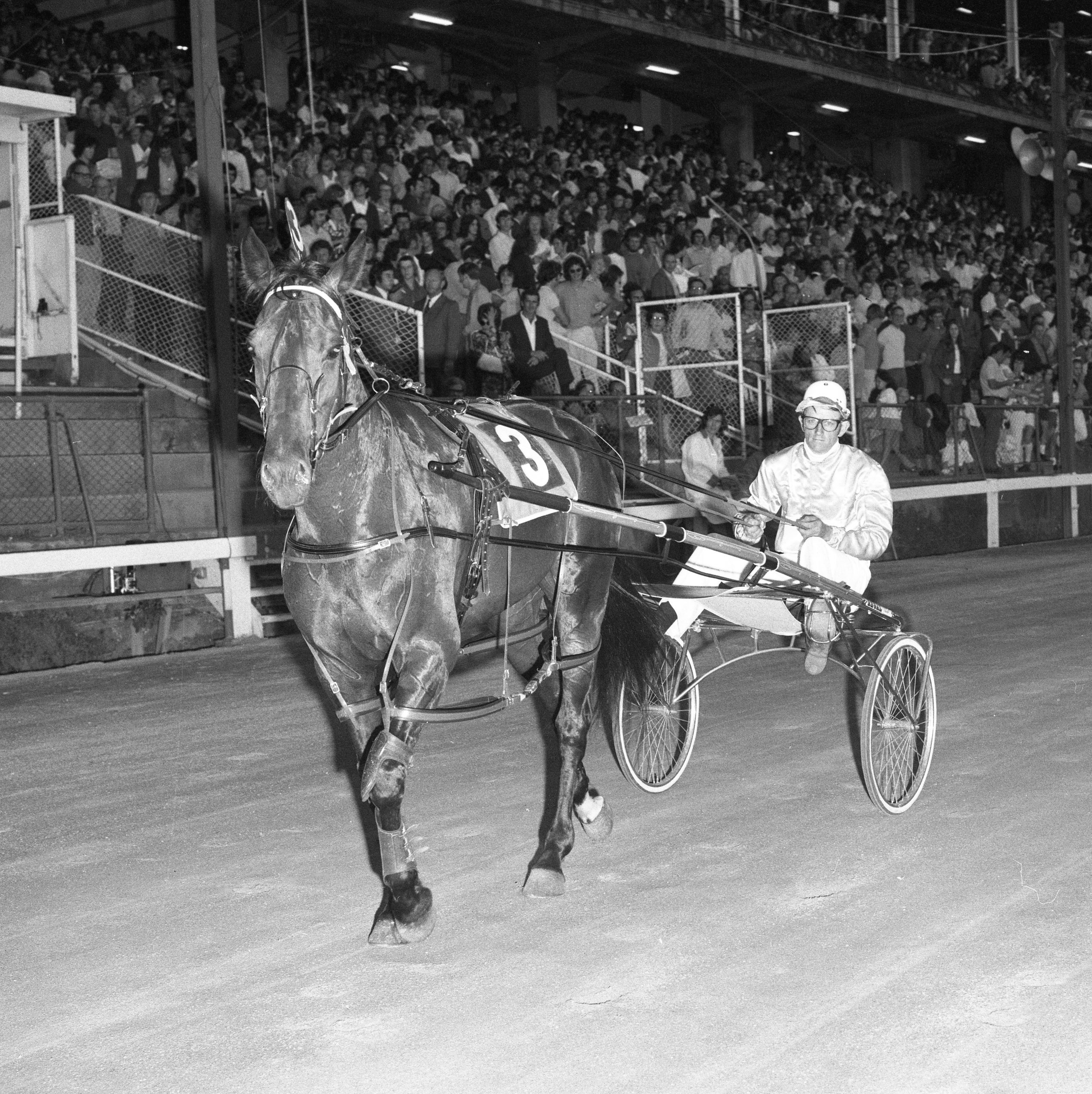 Vale: Paul Flemming (1944-2022) | National Trotguide