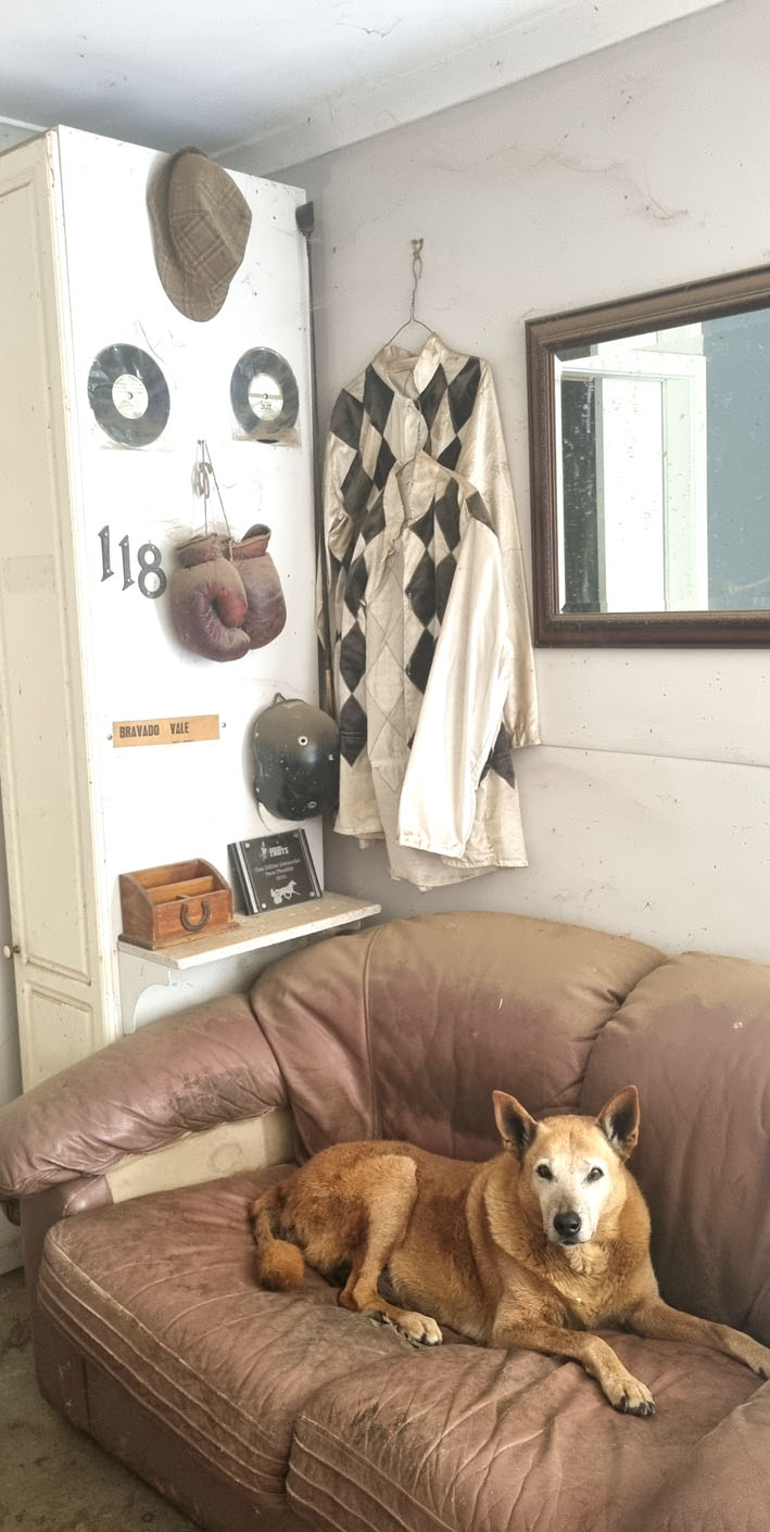 A lesson learned early in life | National Trotguide