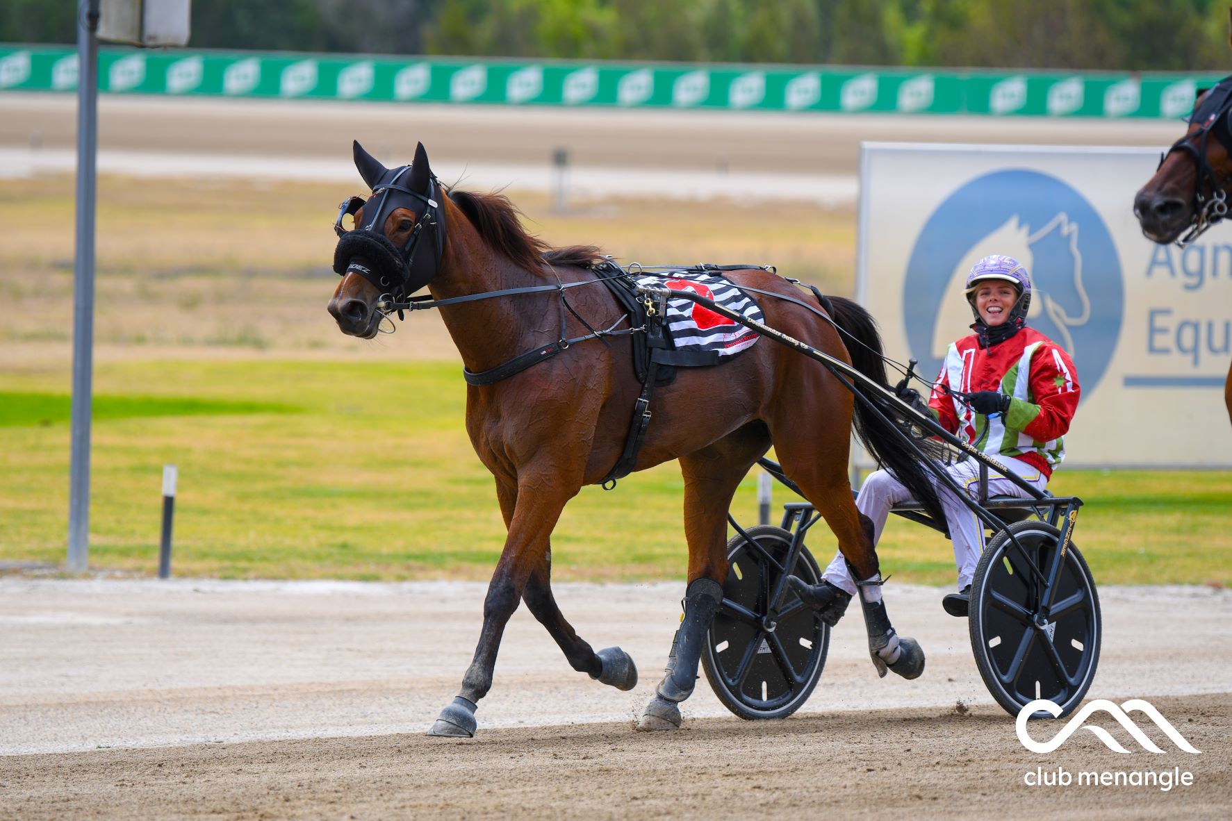 A Hart, a Rixon and an Arvidsson draw first blood in Menangle Medal ...