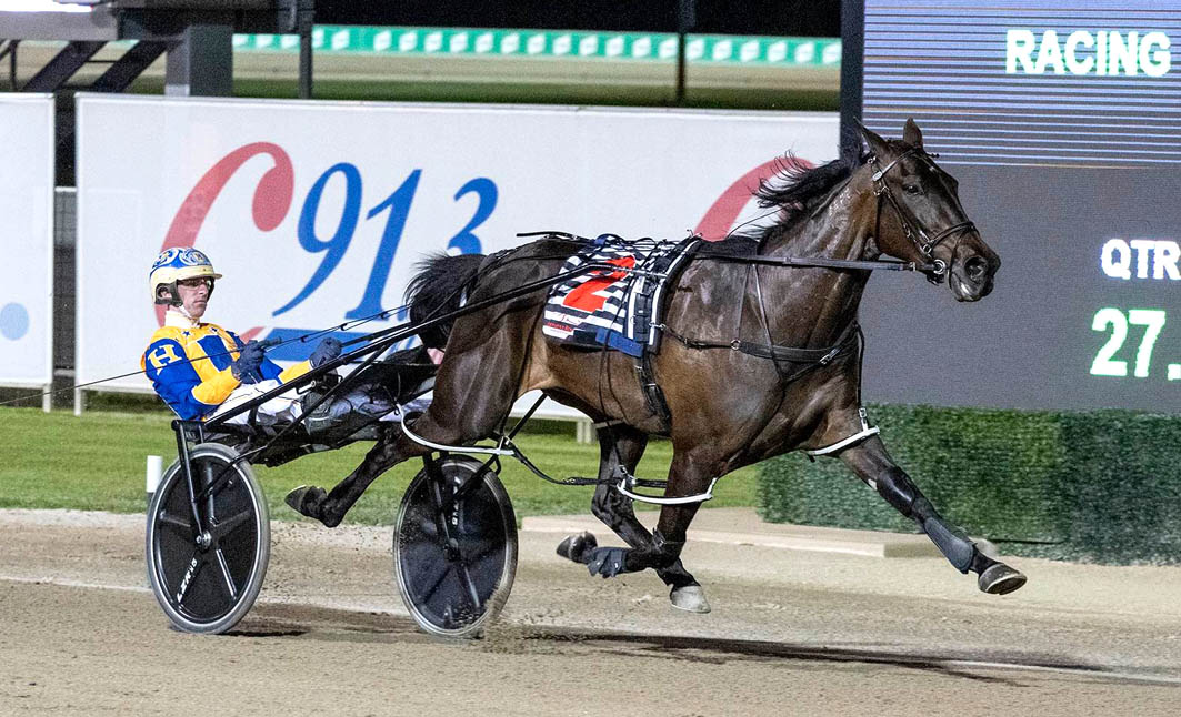 TAY TAY | National Trotguide