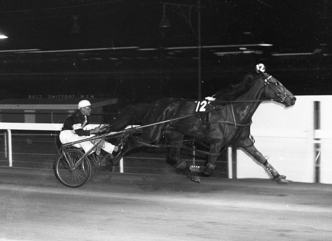 Passing of another harness racing legend | National Trotguide