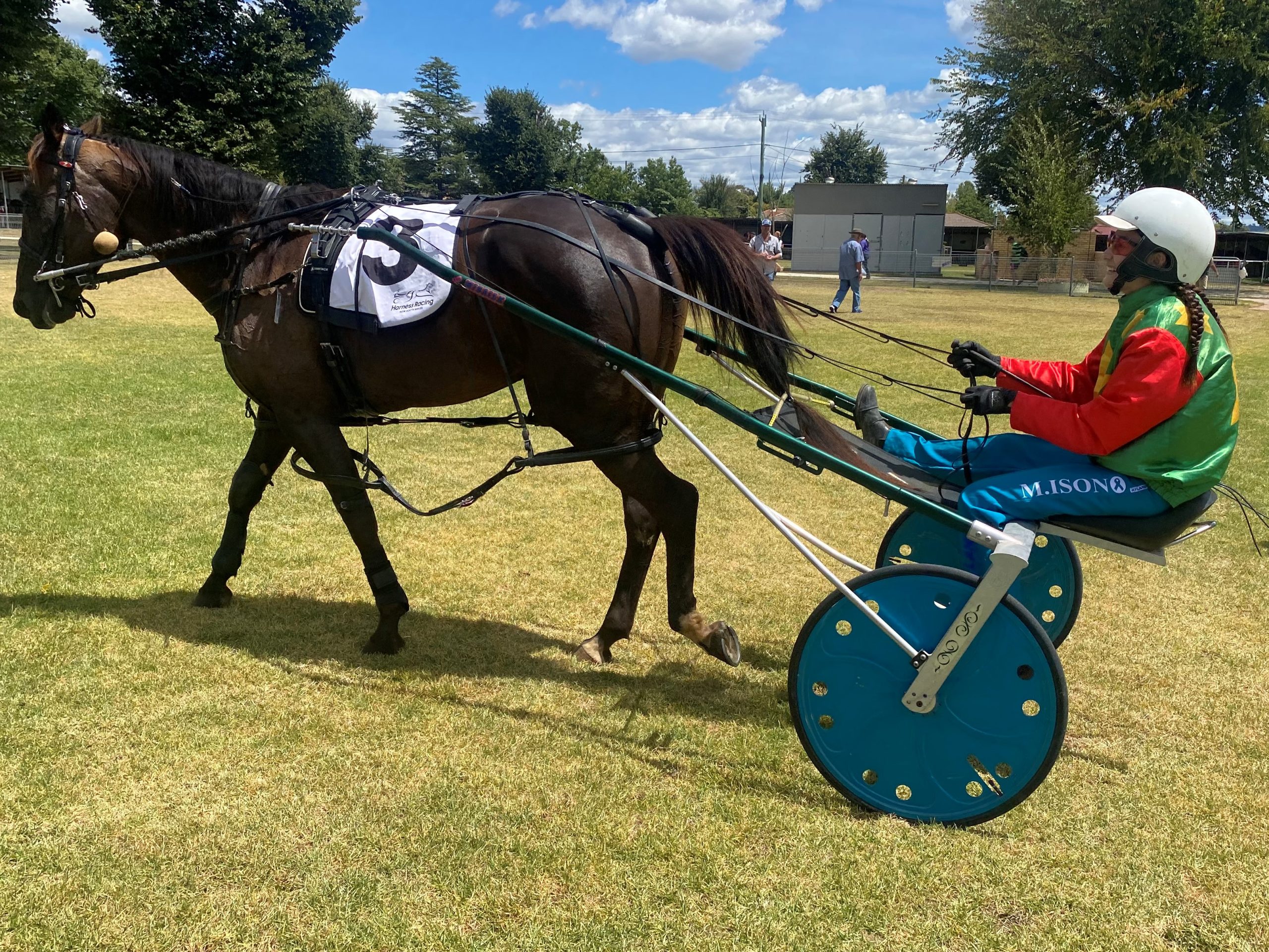 Molly’s first career win makes Armidale special | National Trotguide