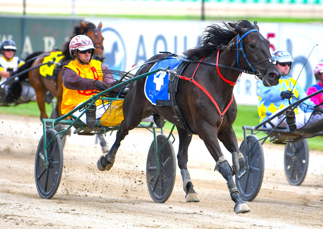 THE GOLD STANDARD JKLB | National Trotguide