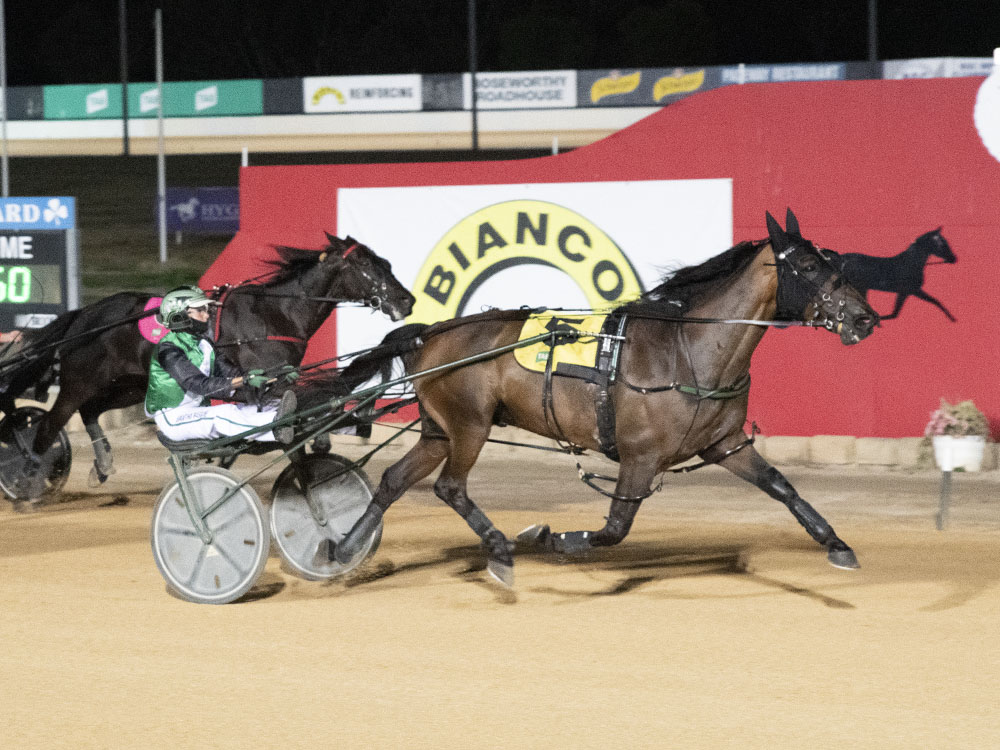 Sam’s closing in on a magical 200 wins | National Trotguide