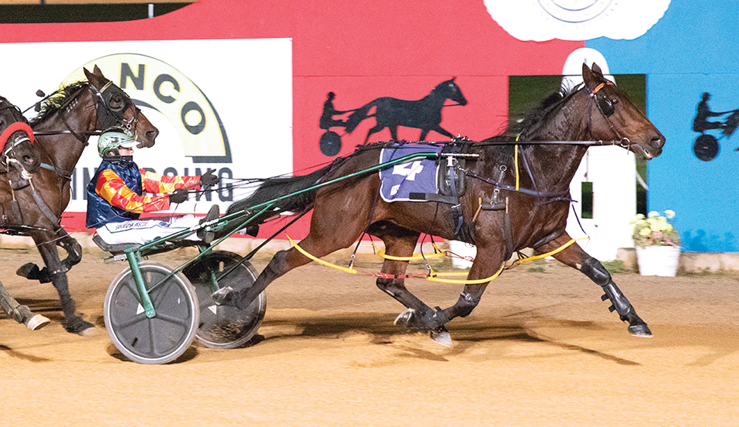 ROCKING WITH CHARM courts | National Trotguide