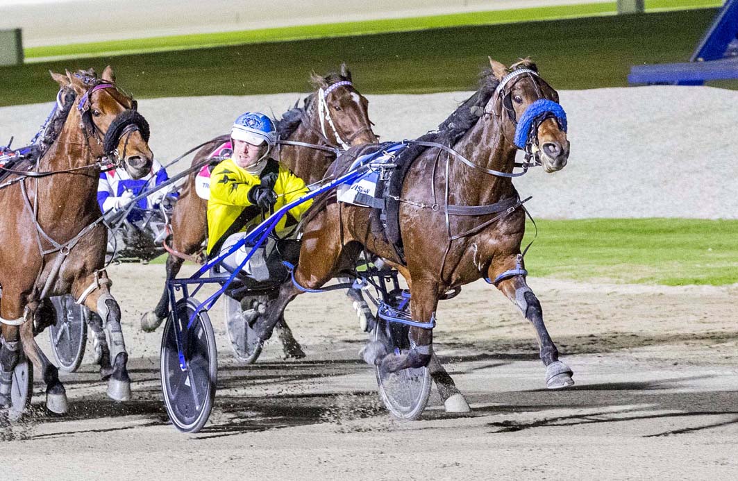 Bubba Scrub | National Trotguide