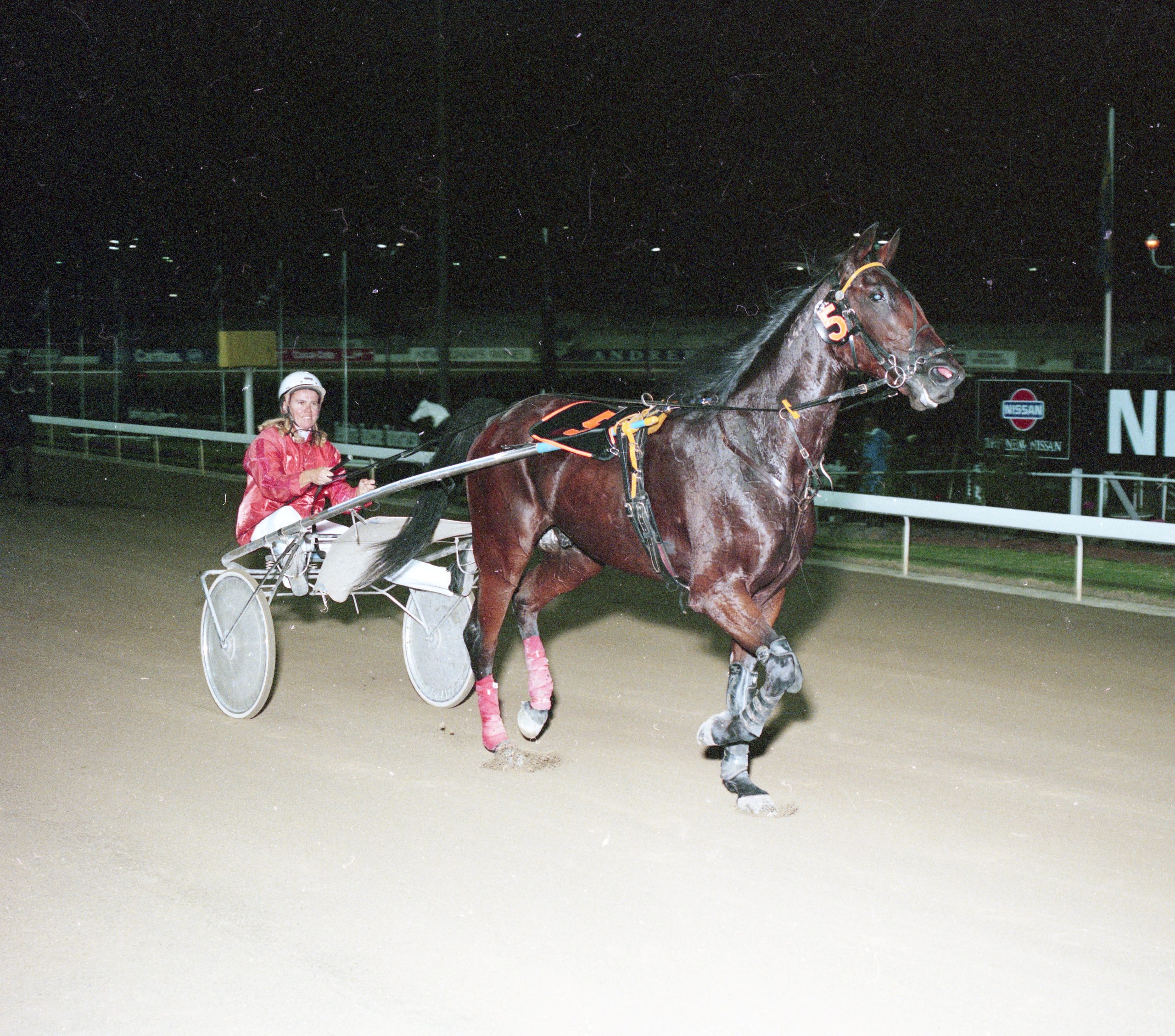 Vale: Peter Carson – a legend in our trotters’ training ranks ...