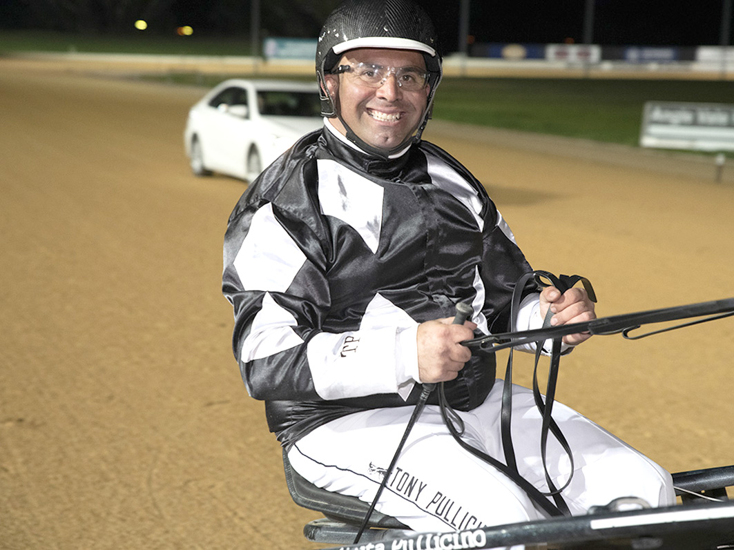 Tony P | National Trotguide