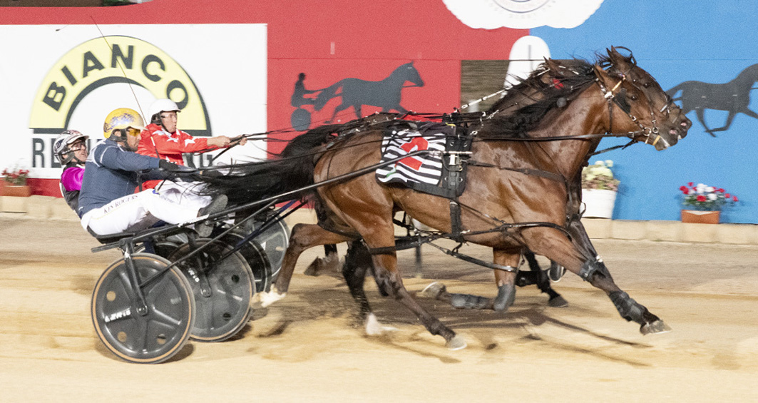 NO NOTTHEBUTTONS HRSA | National Trotguide