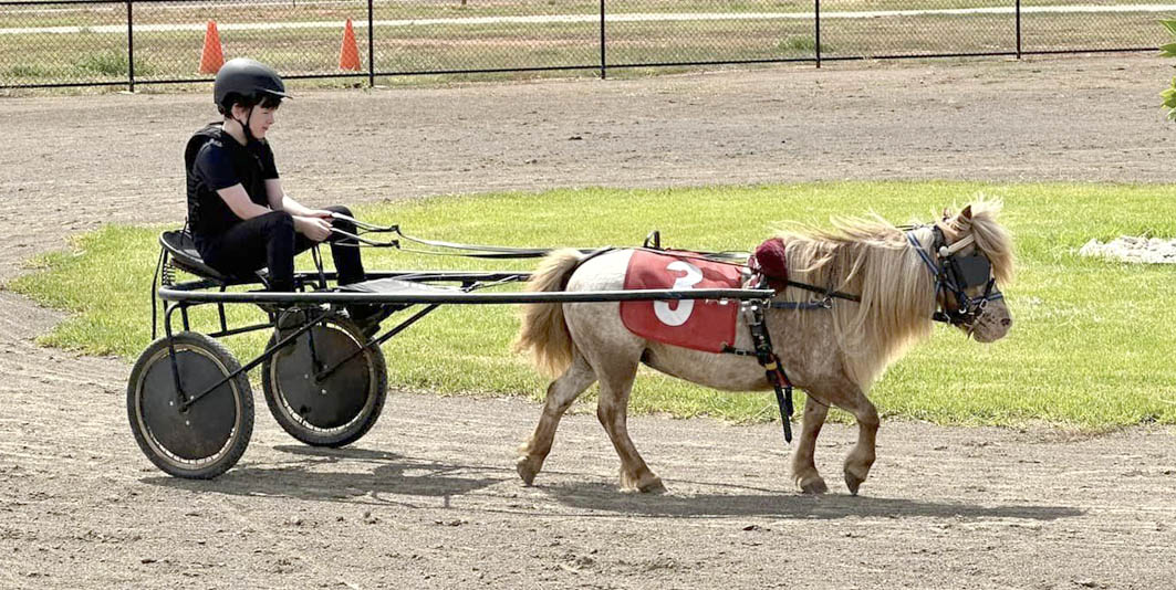 New generation of famous clan ready for action | National Trotguide