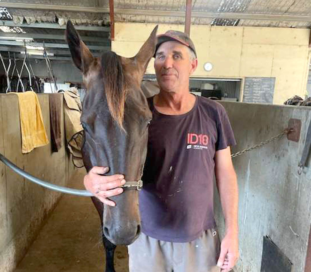 CHARLIE BORG BLACK TUXEDO | National Trotguide