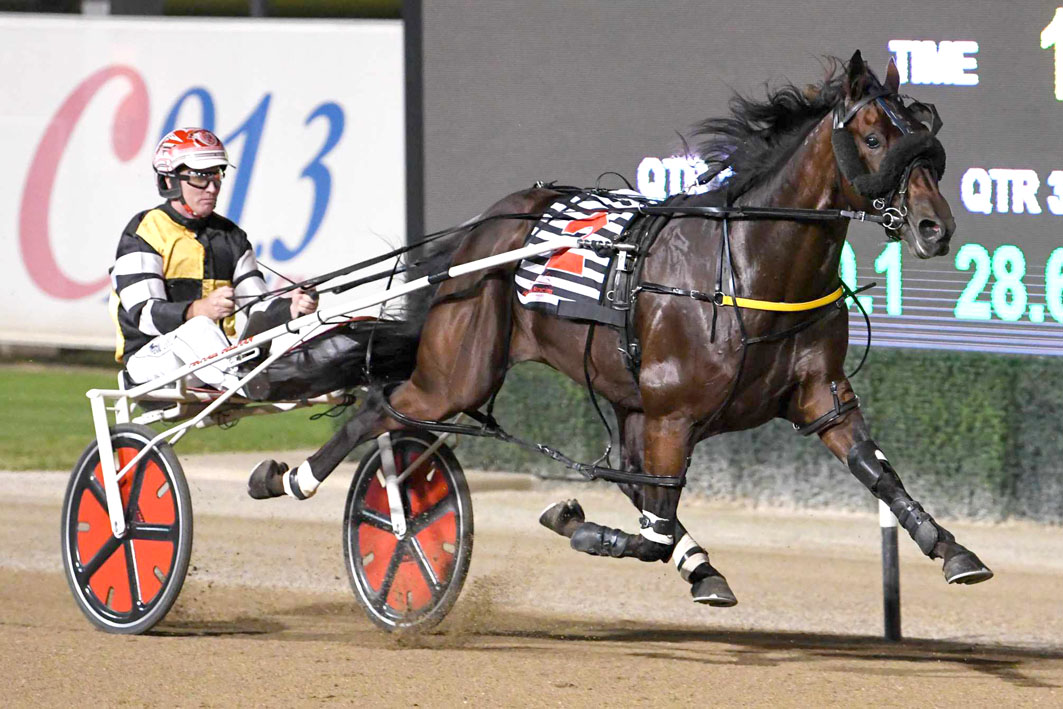 SERGEANT LOU FGBH | National Trotguide