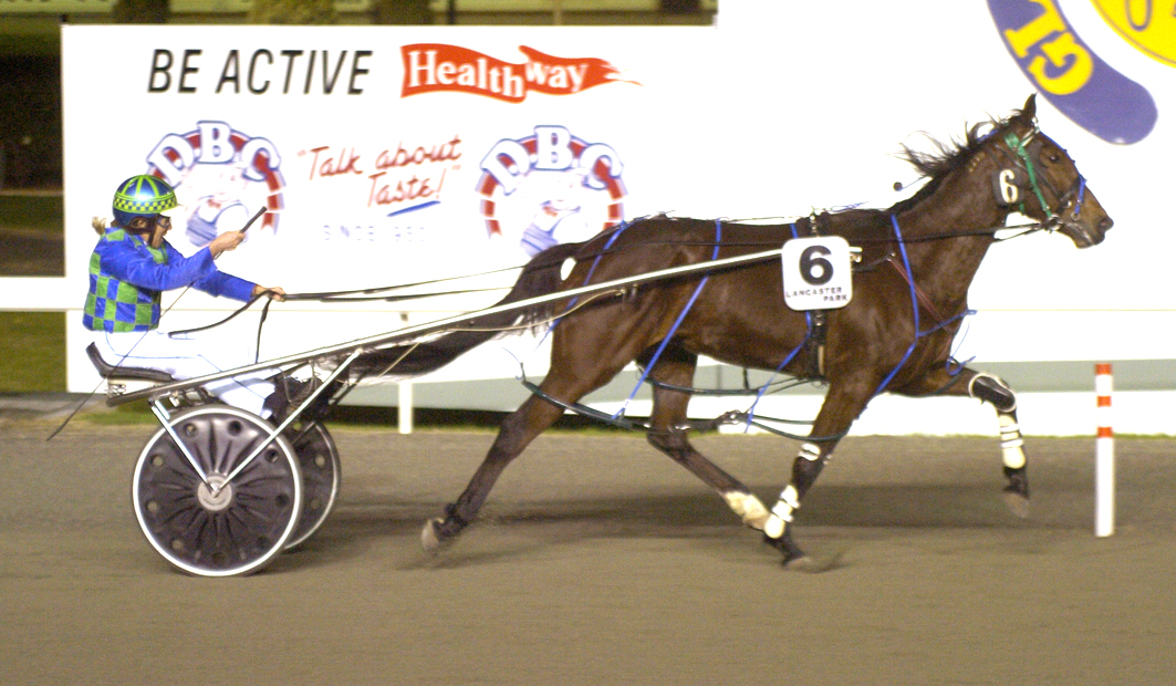 Adda Cool Mil | National Trotguide