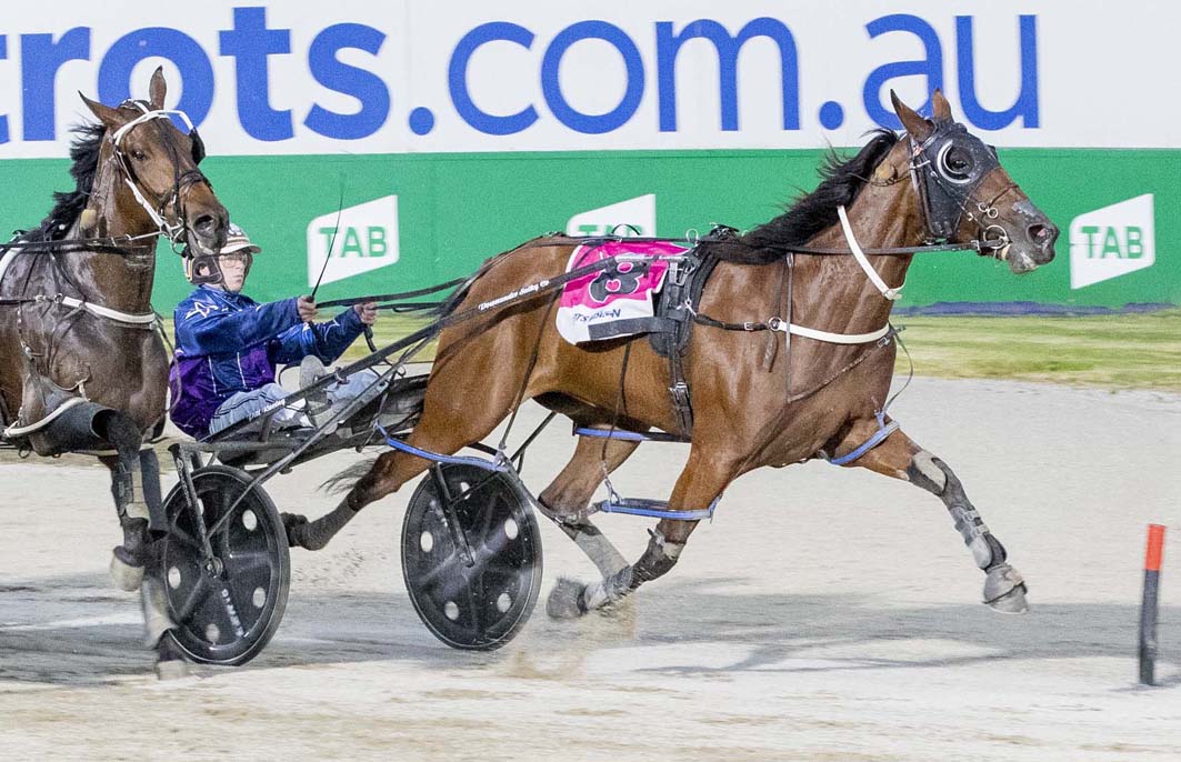 DUN ME UP FANCY | National Trotguide