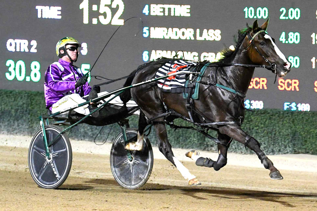 LIBBY LOU | National Trotguide