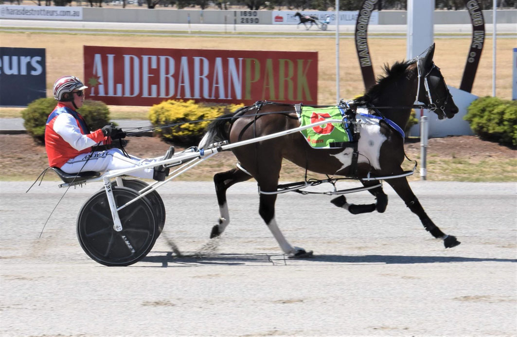 SHIKOBA | National Trotguide