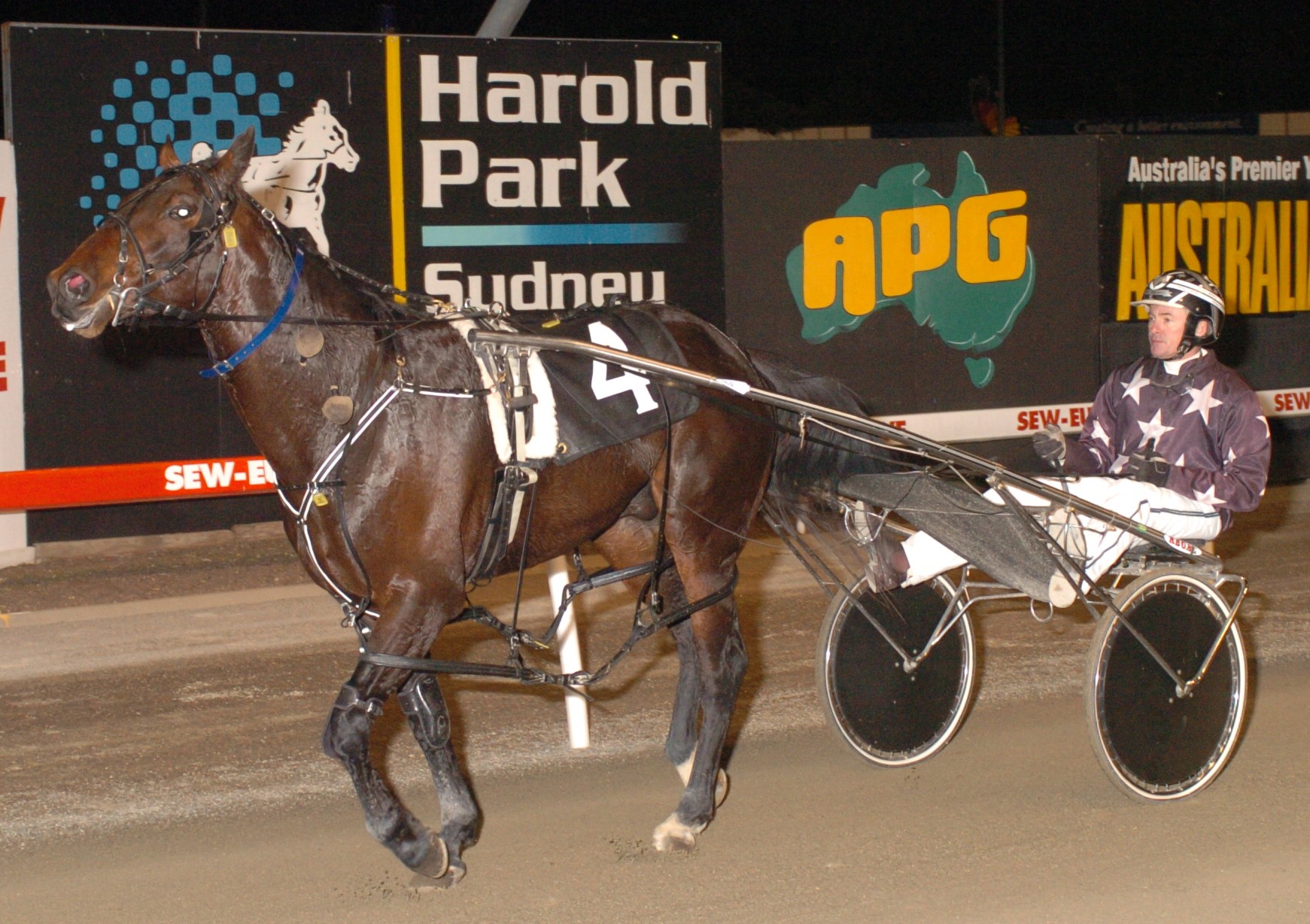 VALE – PETER PLUMMER | National Trotguide