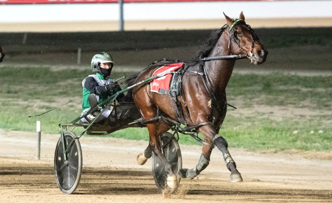 IMPOSTER BOY | National Trotguide